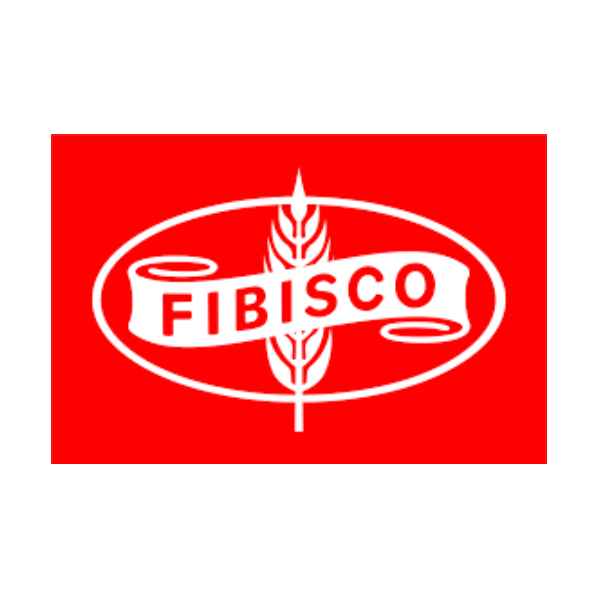 Fibisco – WOW FOOD DISTRIBUTOR